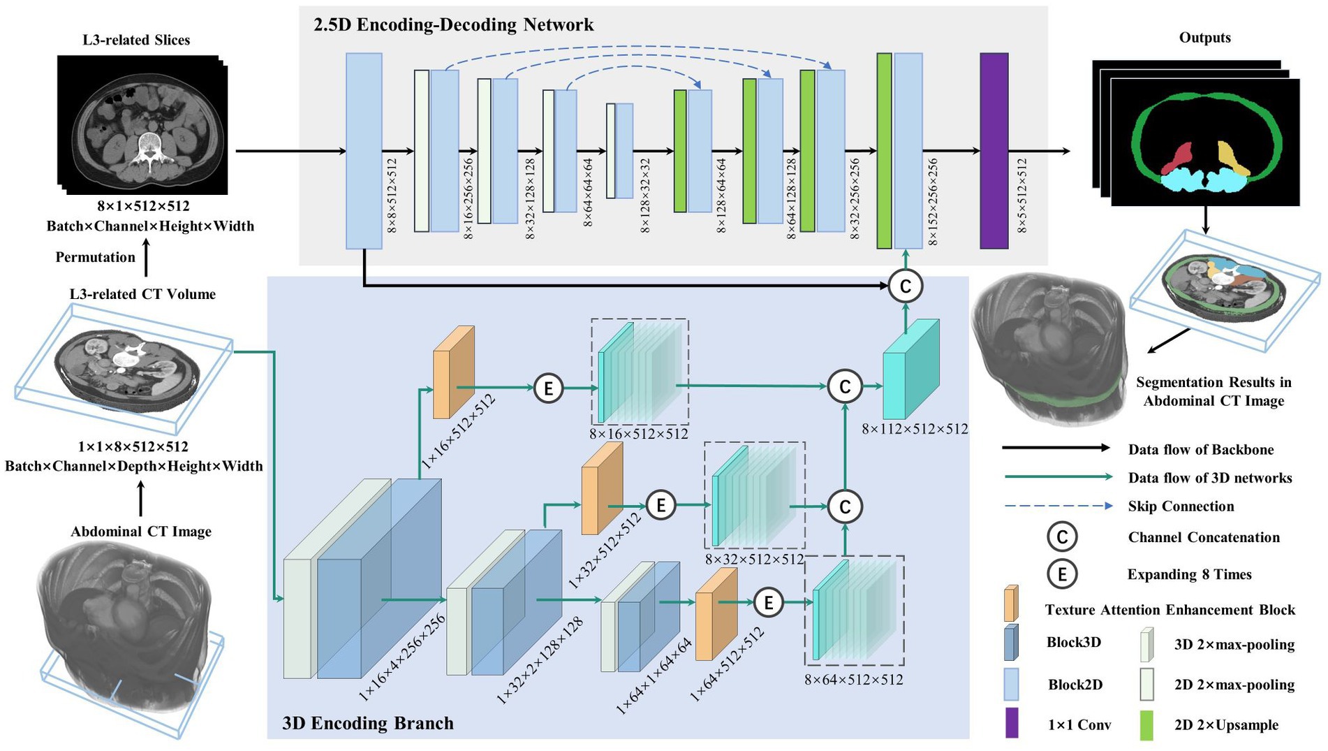 Frontiers | Segmentation of multi-regional skeletal muscle in abdominal ...