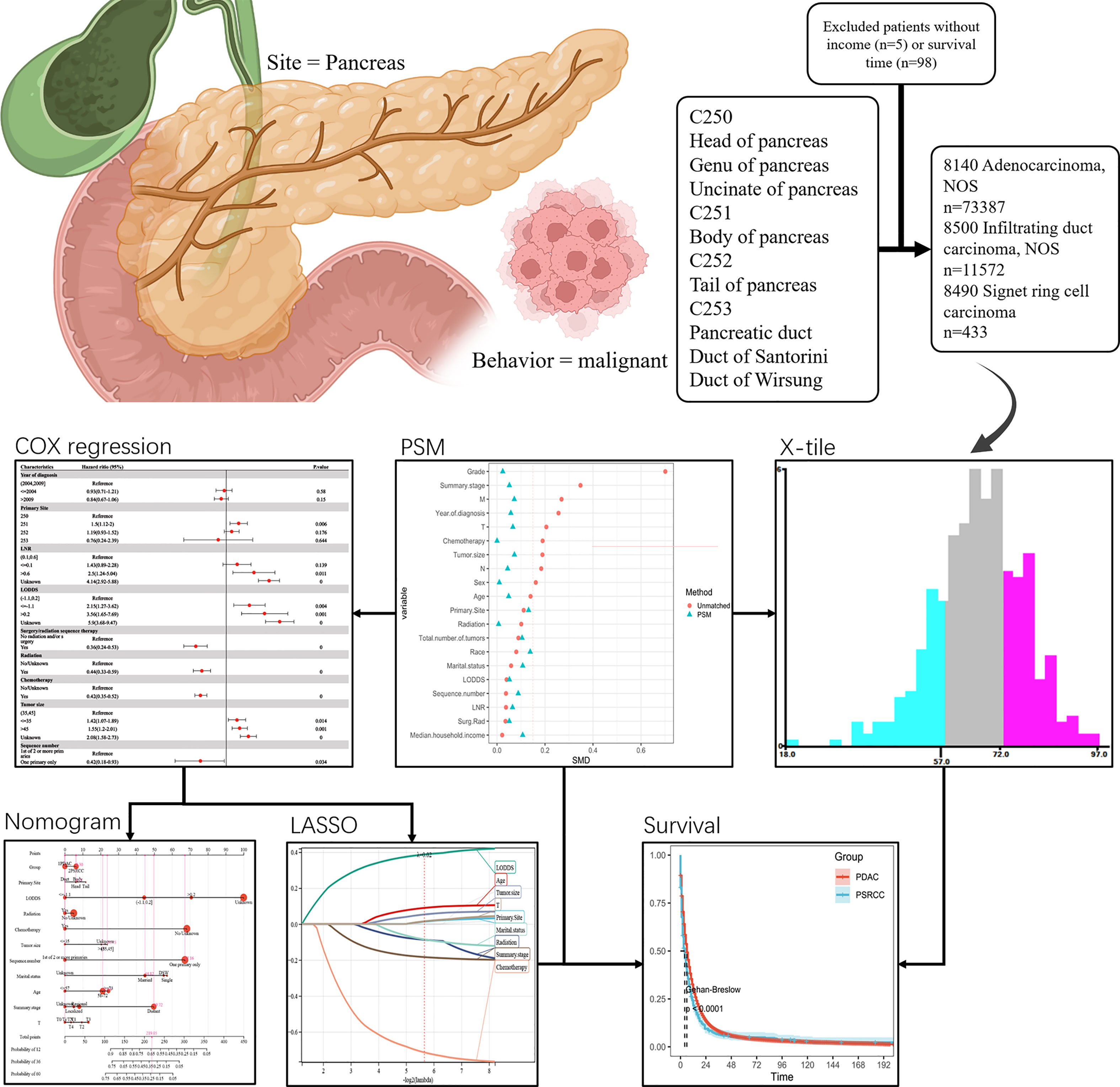 Frontiers Prognosis Prediction And Comparison Between Pancreatic