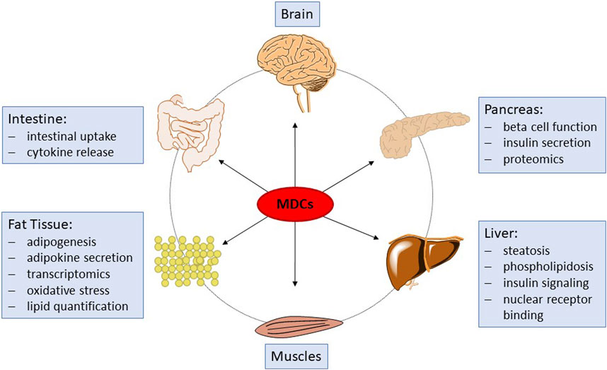 Frontiers Development Of New Approach Methods For The Identification