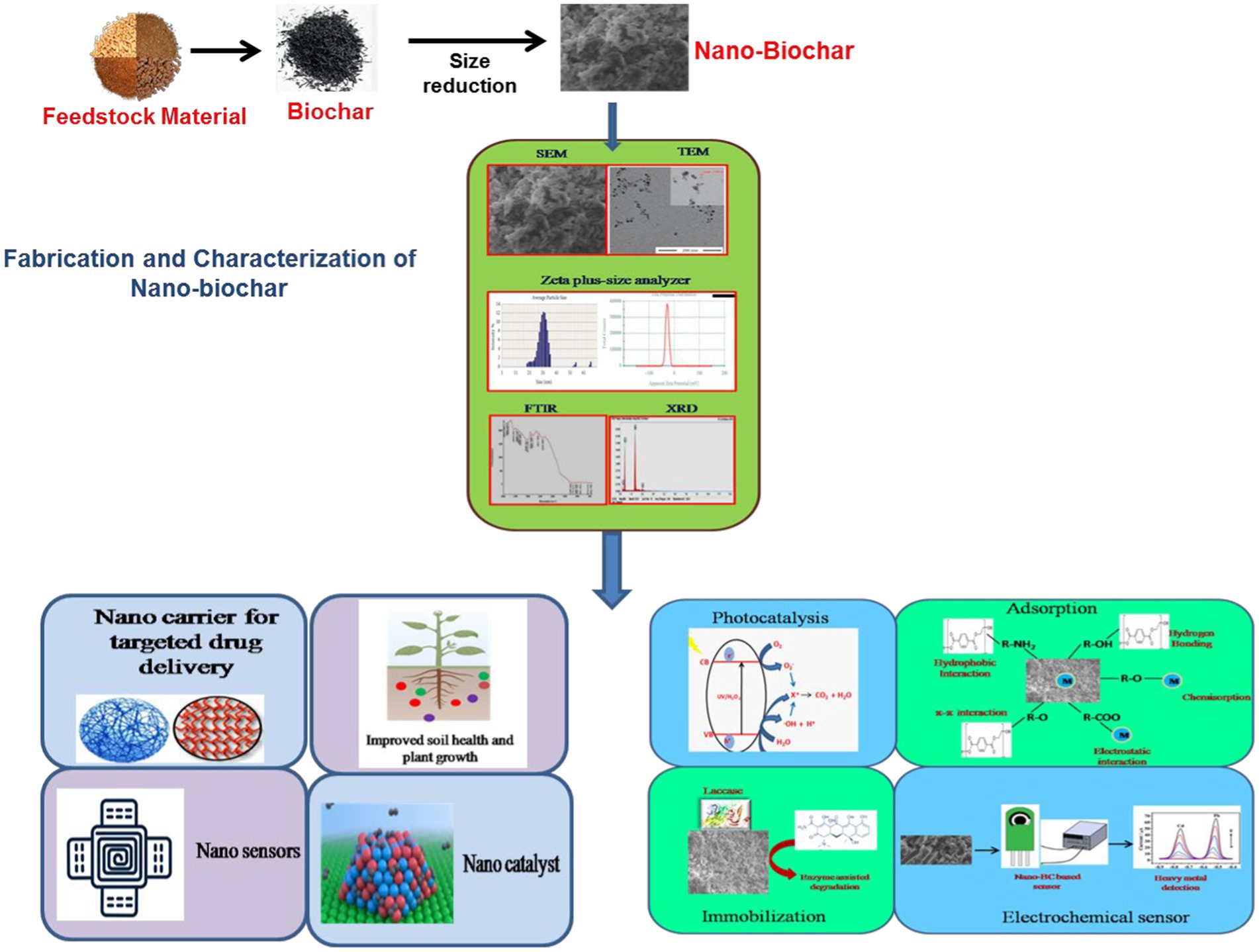 Frontiers | Nano-biochar: recent progress, challenges, and opportunities for sustainable ...