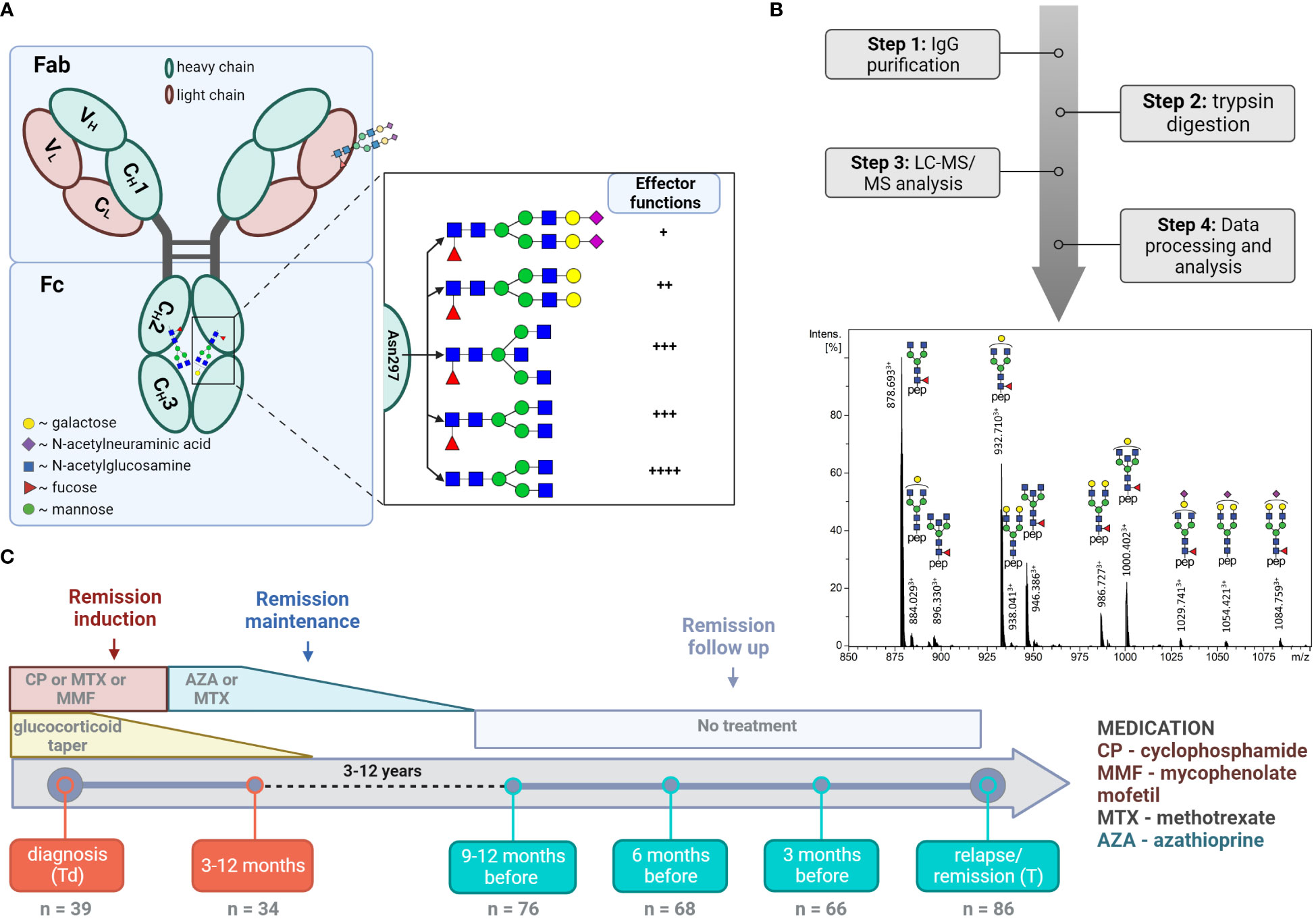 Frontiers Specific Igg Glycosylation Differences Precede Relapse In