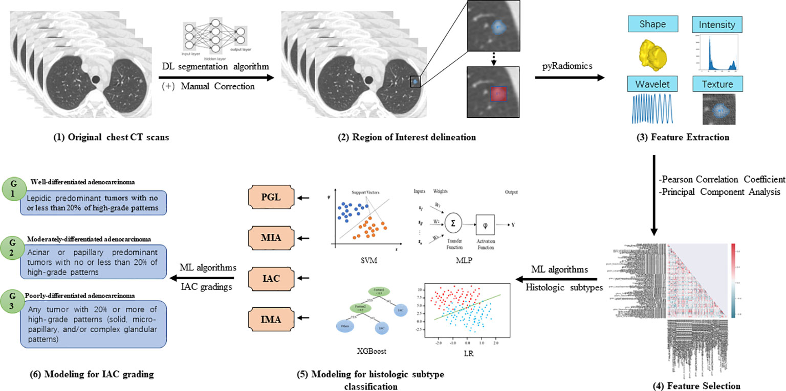 Frontiers Deep Learning Enhanced Radiomics For Histologic