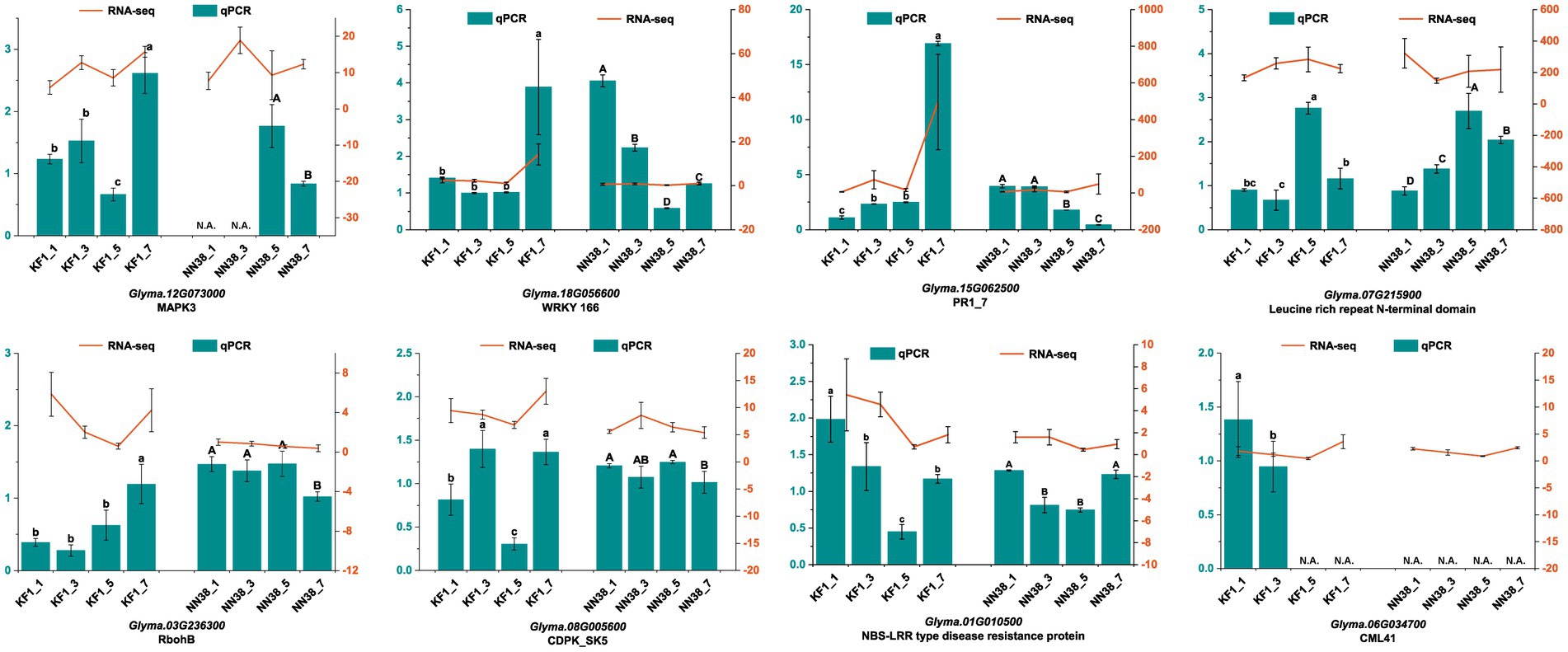 Frontiers Comparative Transcriptome Analysis Reveals Key Pathways And