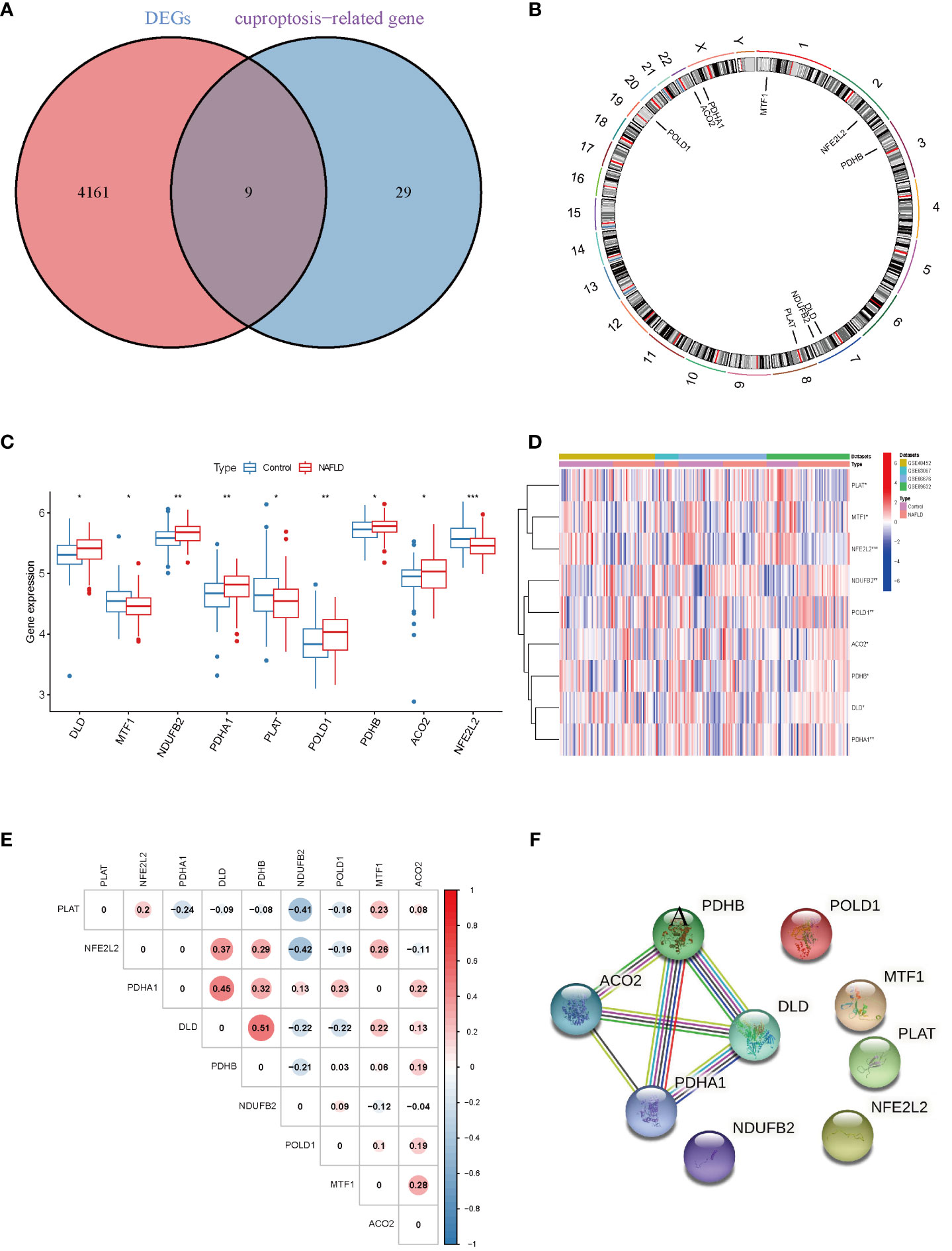 Frontiers Identification And Validation Of Potential Diagnostic