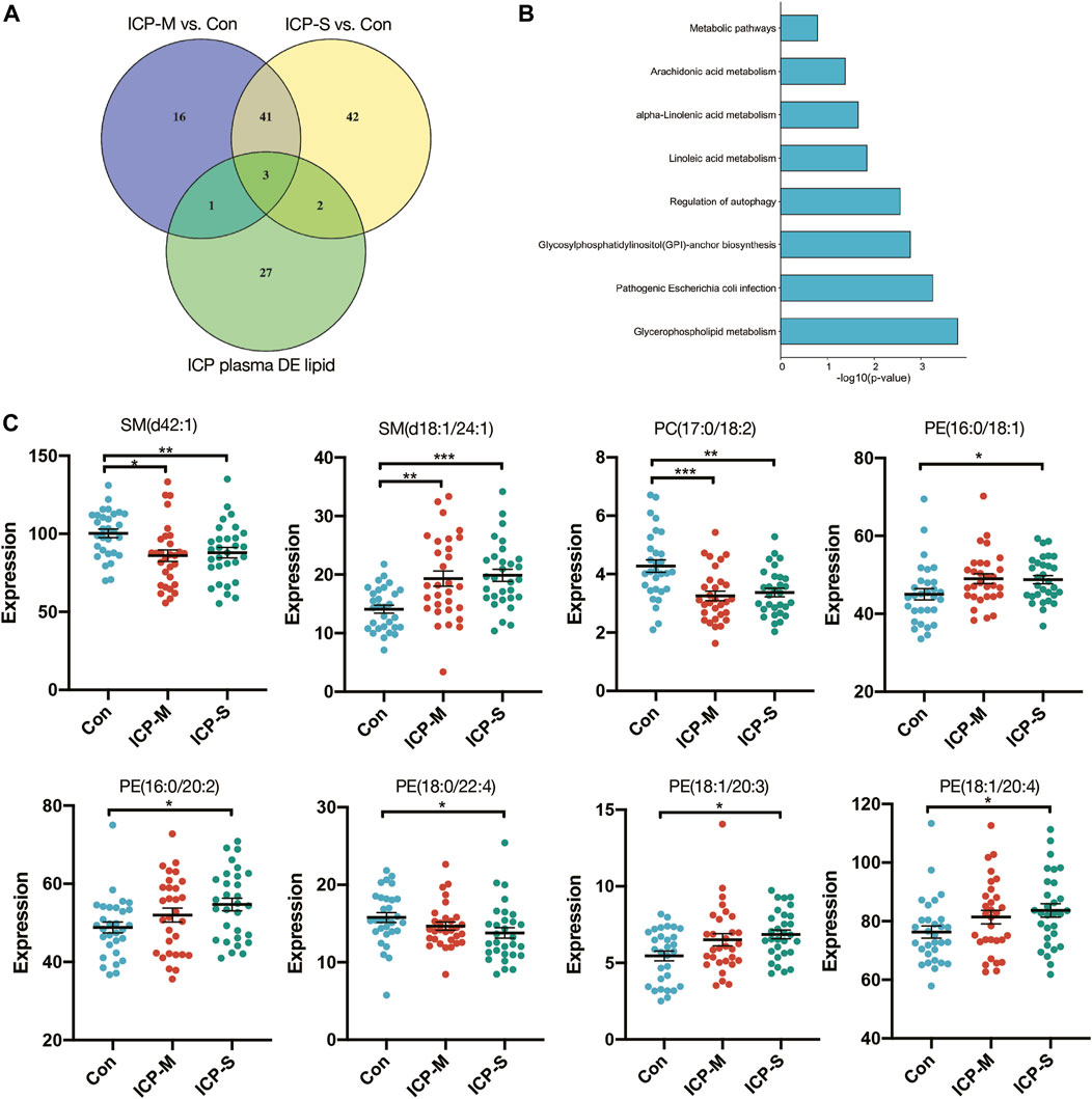 Frontiers | LC-MS/MS untargeted lipidomics uncovers placenta lipid ...