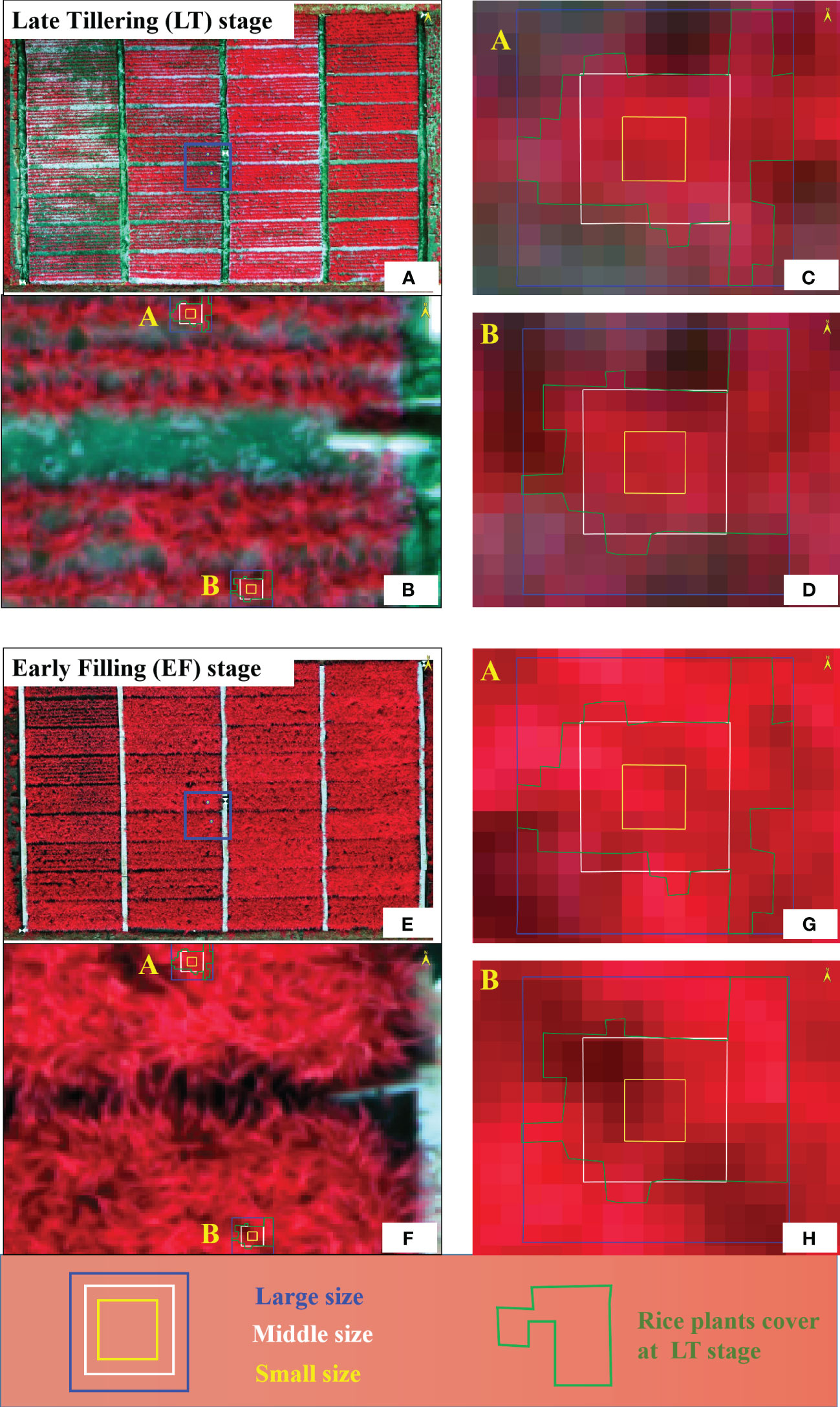 Frontiers | Optimizing window size and directional parameters of GLCM ...