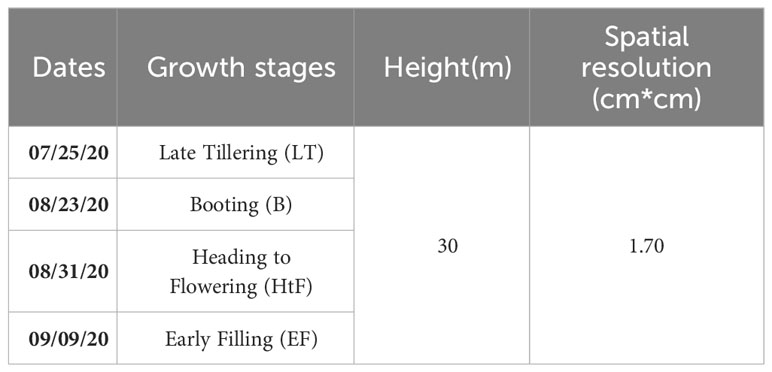Frontiers | Optimizing window size and directional parameters of GLCM texture features for ...