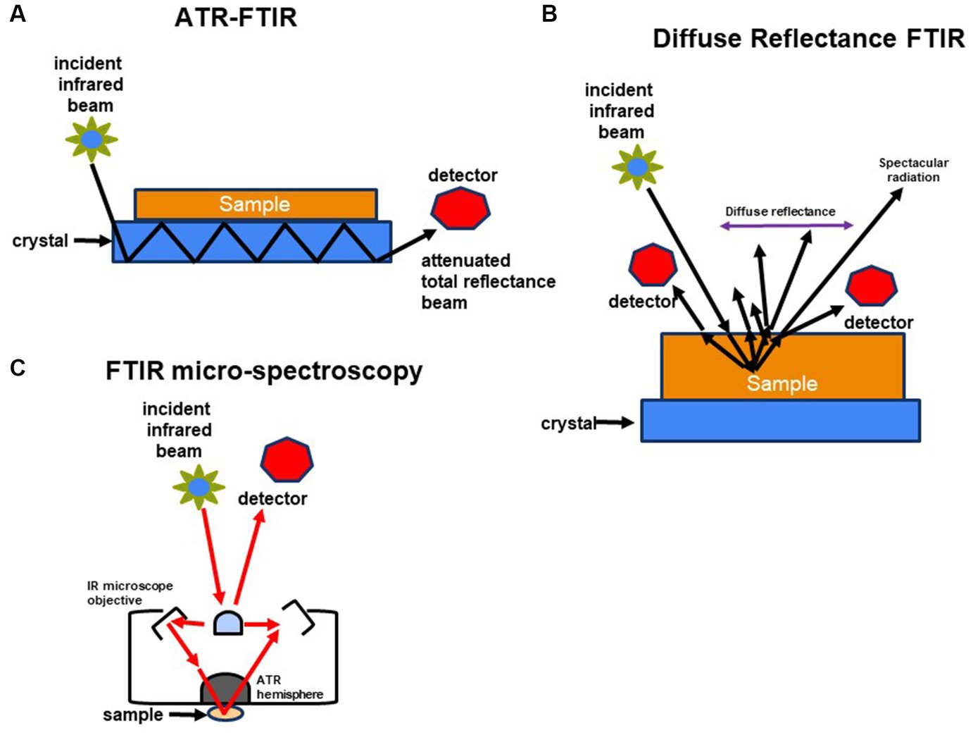 Applications Of Fourier Transform Infrared Spectroscopy In Microbial