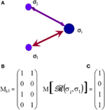 Frontiers | Role of physical and mental training in brain network ...