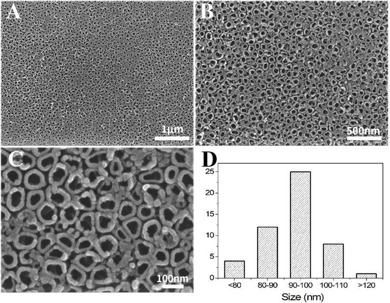 Frontiers | Fabrication and surface characterization of titanium dioxide nanotubes on titanium ...