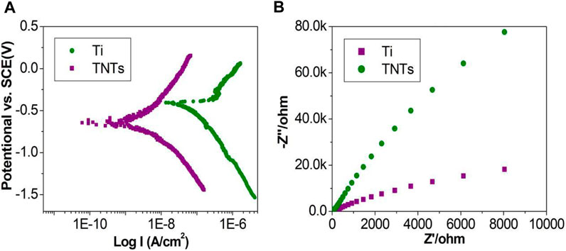 Frontiers | Fabrication and surface characterization of titanium dioxide nanotubes on titanium ...