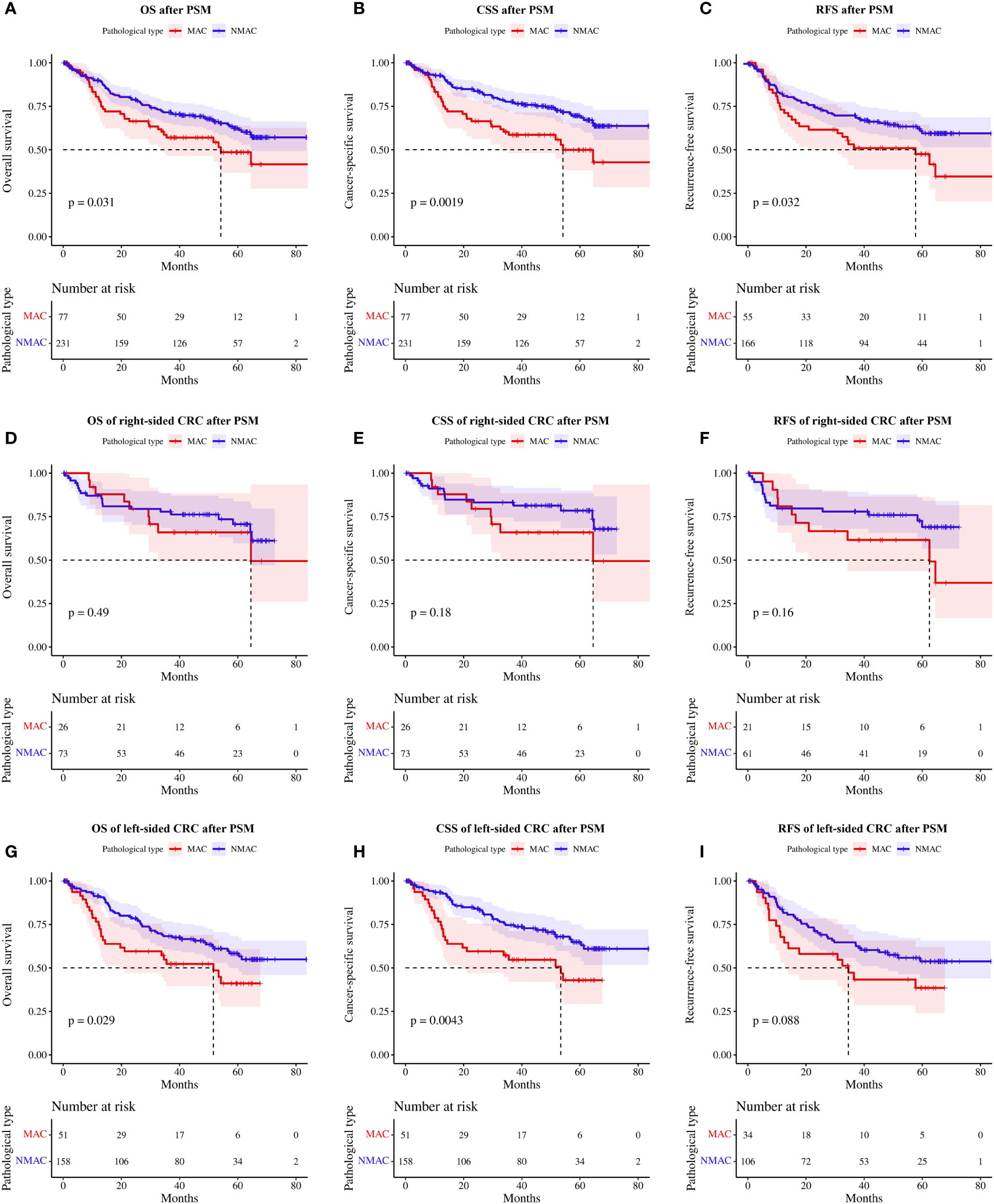 Frontiers Clinicopathological Characteristics And Outcomes Of
