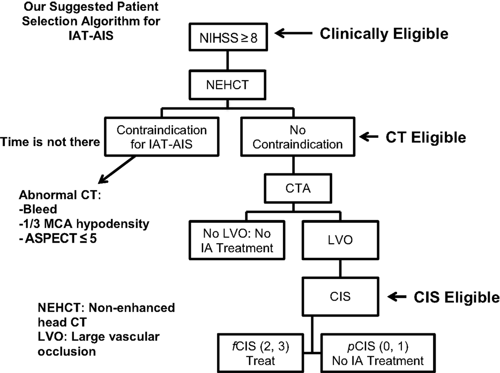 Frontiers Acute Ischemic Stroke Treatment Part 2 Treatment “roles