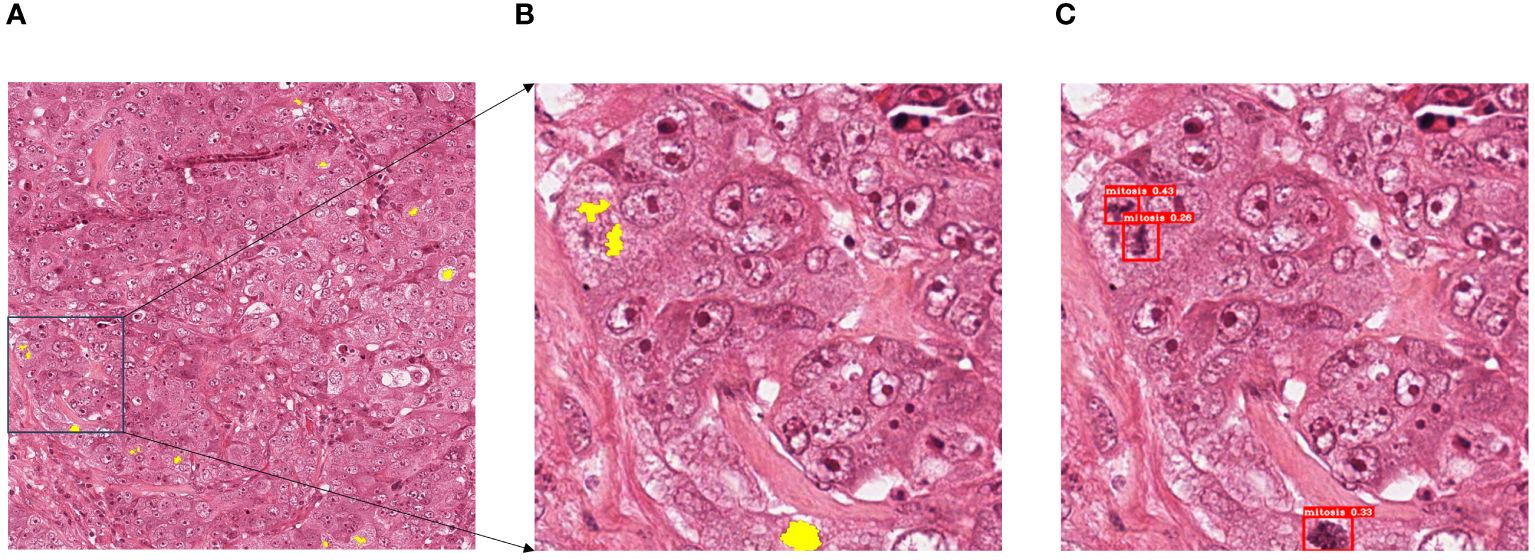 Frontiers | PI-YOLO: dynamic sparse attention and lightweight ...