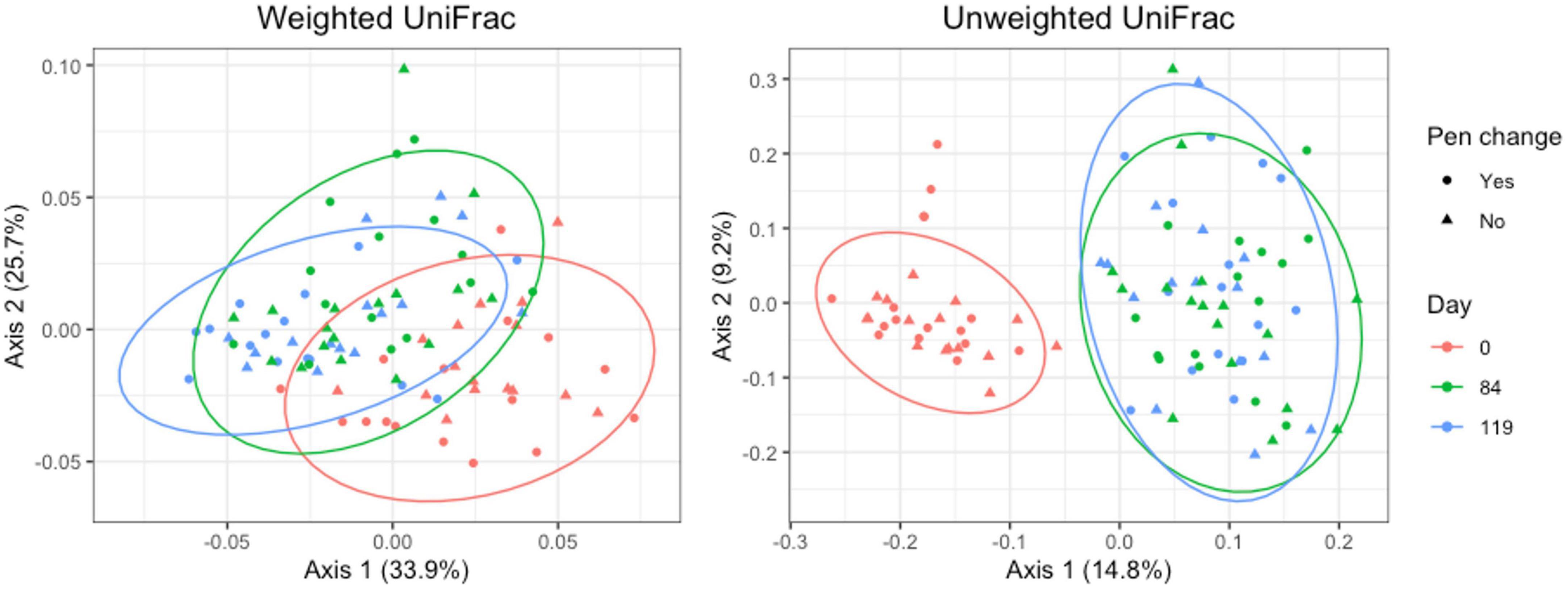 Frontiers | Comparative microbiome analysis of beef cattle, the ...