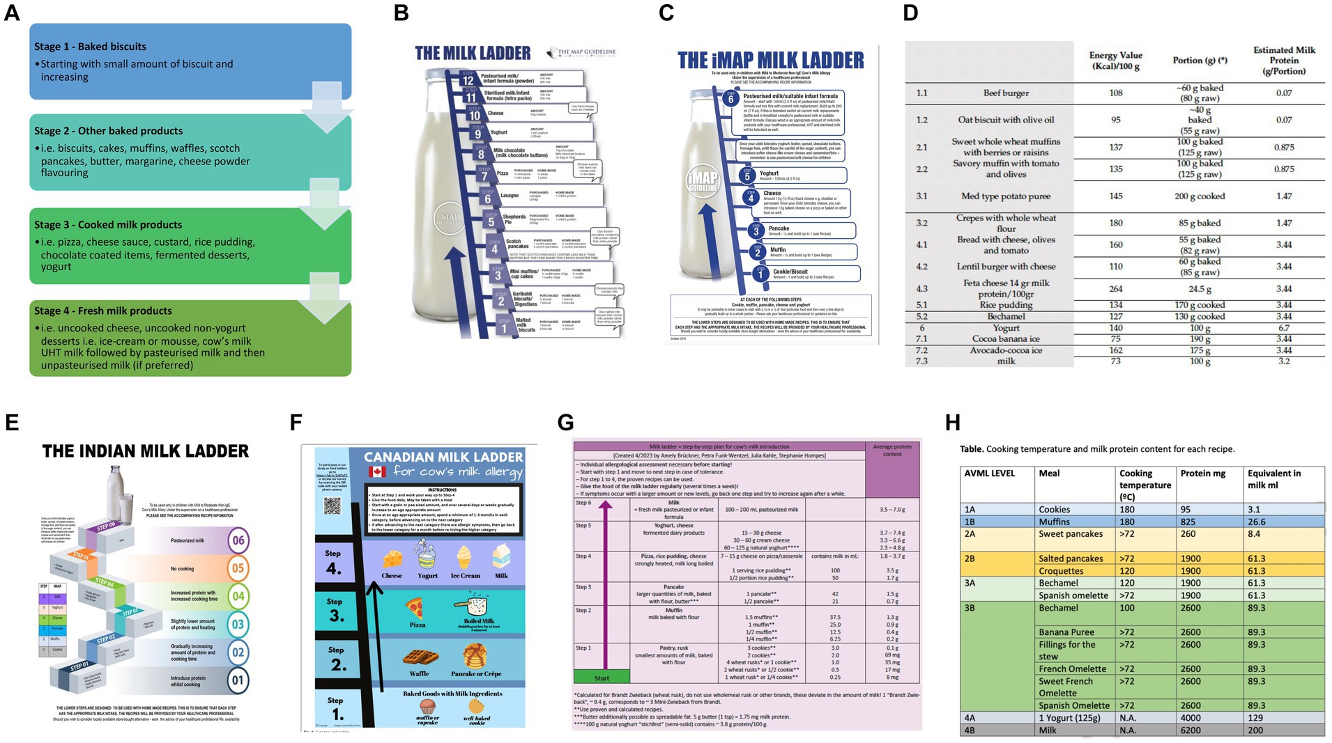 Frontiers | The future of cow’s milk allergy – milk ladders in IgE-mediated food allergy