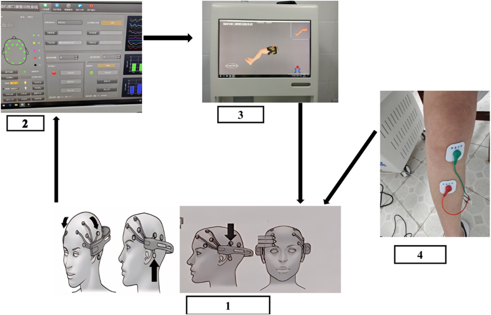 Frontiers | Effects of motor imagery-based brain-computer interface-controlled electrical ...