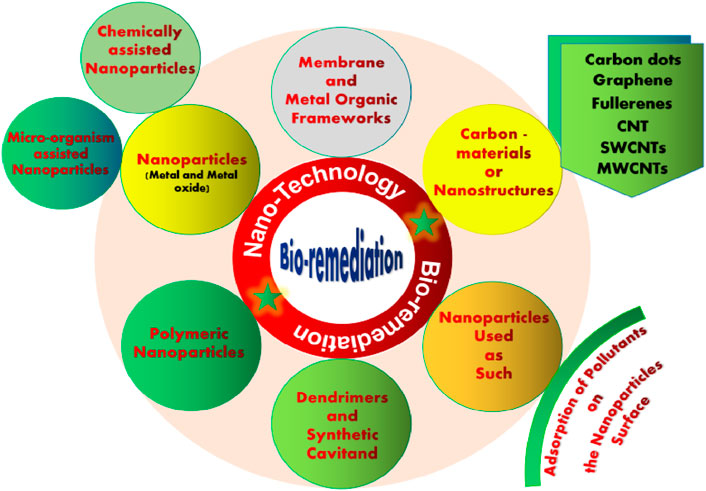 Frontiers | Utilization of fungal and bacterial bioremediation techniques for the treatment of ...