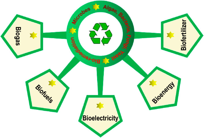 Frontiers | Utilization of fungal and bacterial bioremediation techniques for the treatment of ...