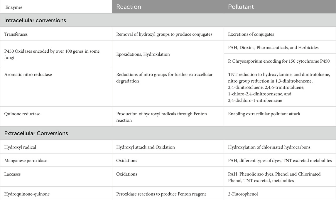 Frontiers | Utilization of fungal and bacterial bioremediation techniques for the treatment of ...