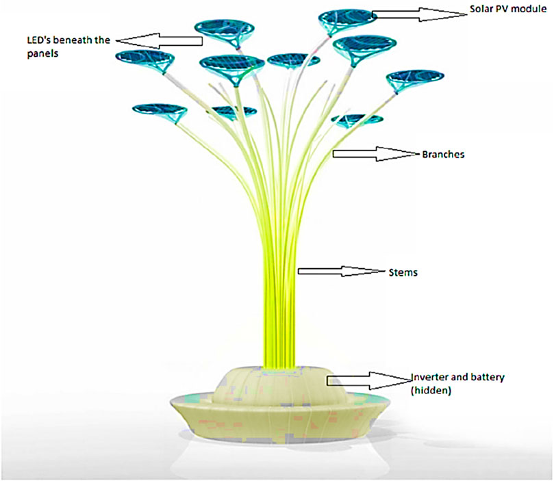 Frontiers | A Succinct review of strengths, weaknesses, opportunities ...