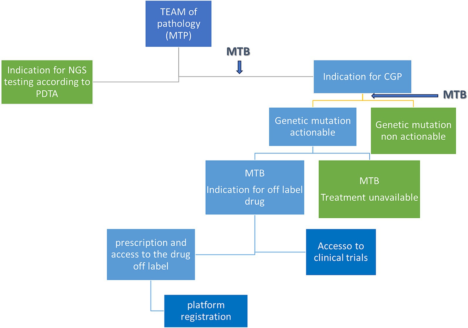 Frontiers | The molecular tumor board as a step in cancer patient management: a southern Italian ...