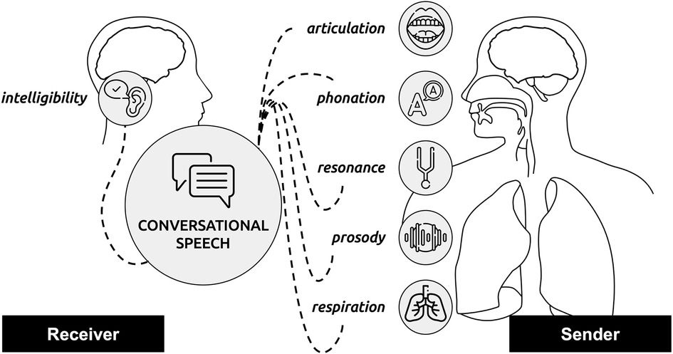 Frontiers | An Automatic Measure for Speech Intelligibility in ...