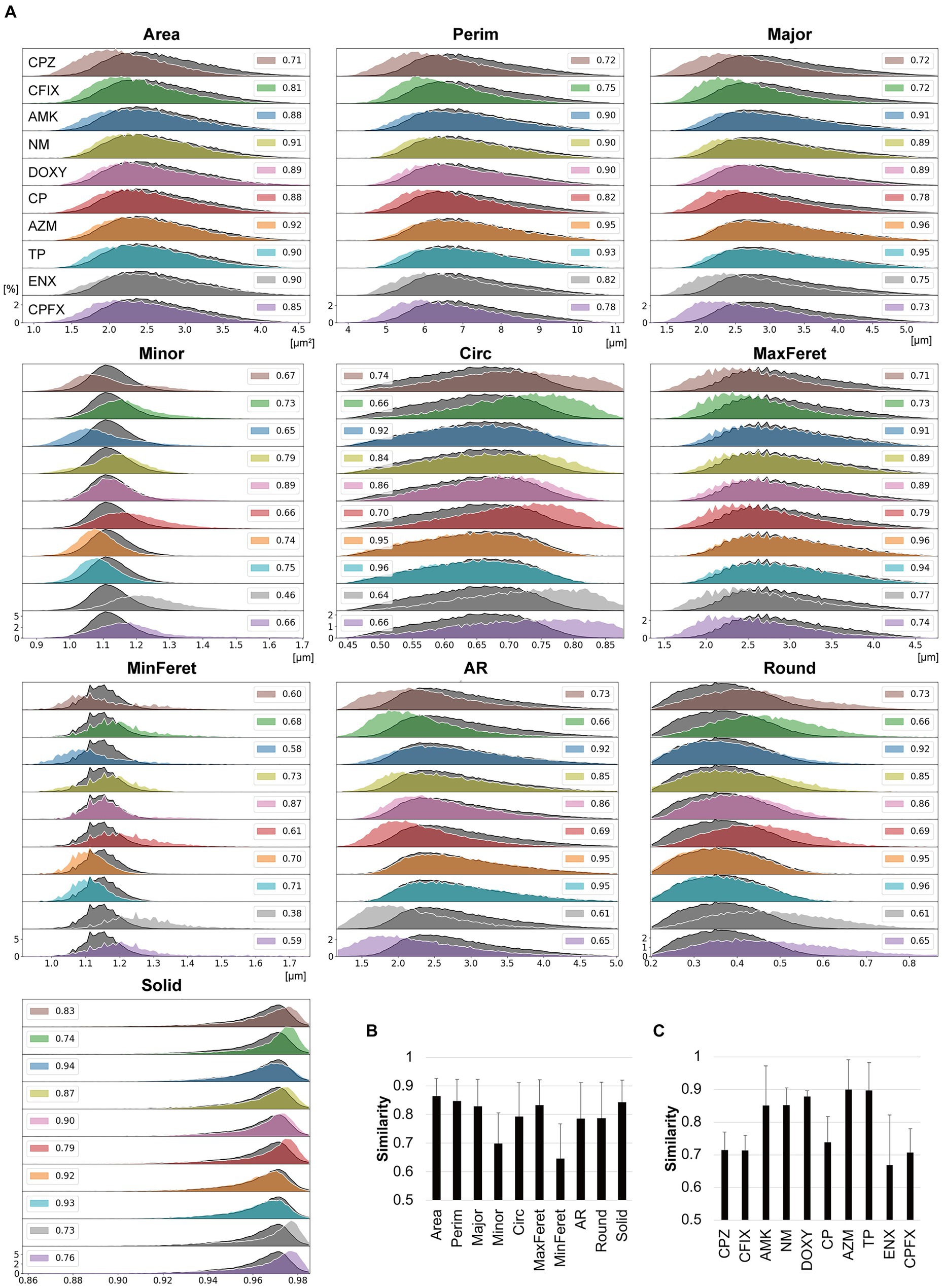 Frontiers | Bioinformatic analysis reveals the association between bacterial morphology and ...