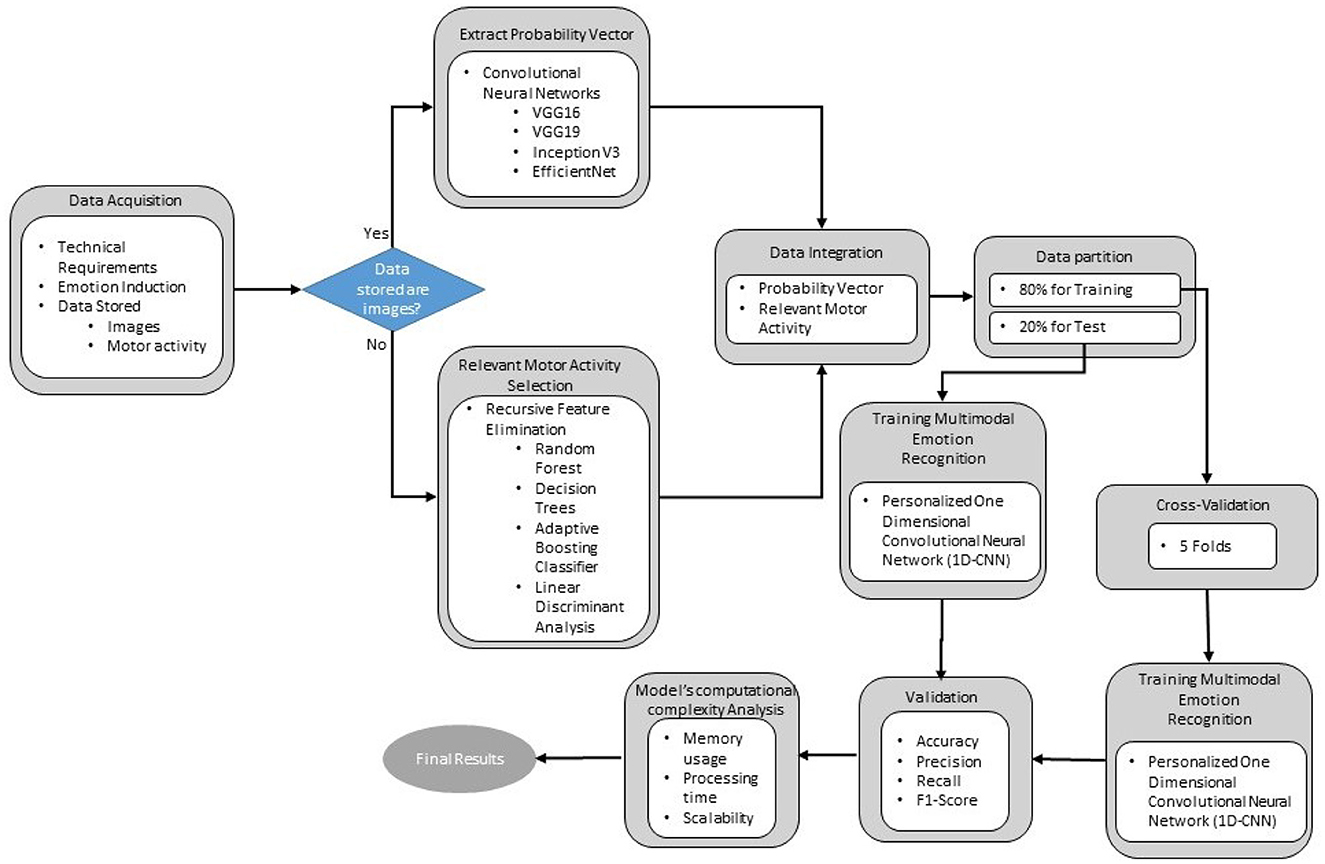 Frontiers | Multimodal driver emotion recognition using motor activity and facial expressions