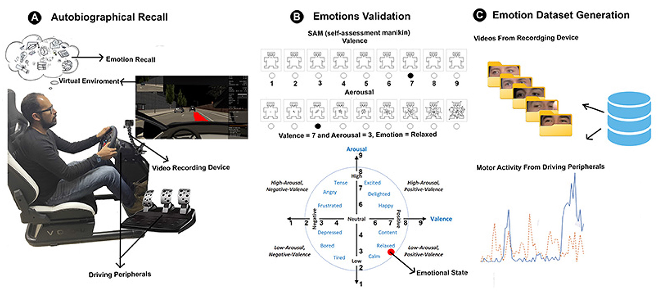 Frontiers | Multimodal driver emotion recognition using motor activity and facial expressions