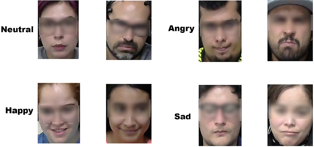 Frontiers | Multimodal driver emotion recognition using motor activity ...