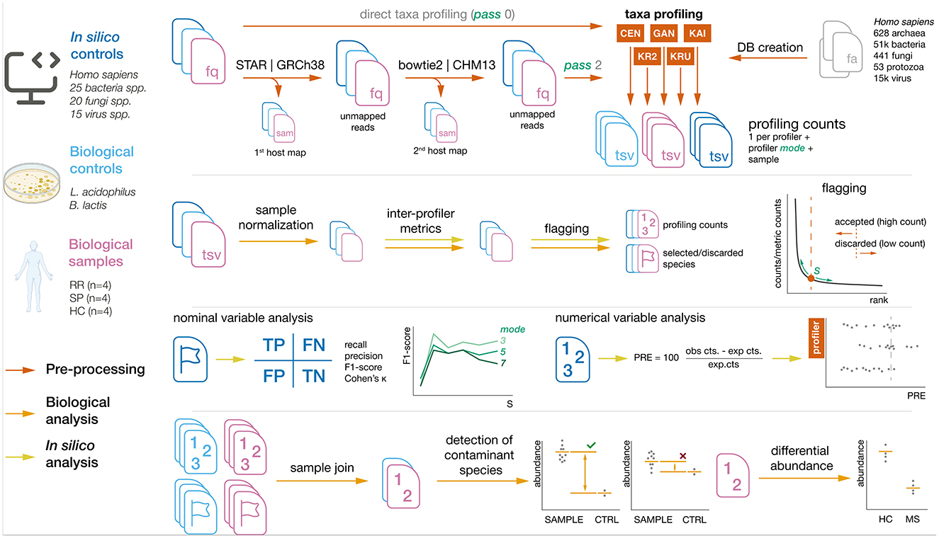 Frontiers | A proposed workflow to robustly analyze bacterial ...