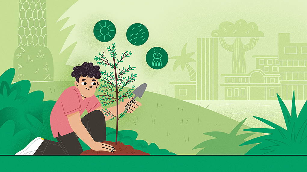 Planting Strong Urban Tree Communities to Cool Our Cities · Frontiers ...