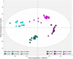 Frontiers | Metabolomics reveals differences of metal toxicity in ...