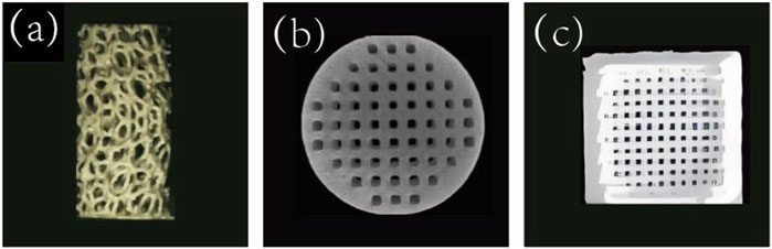 Frontiers | Mechanical and biological properties of 3D printed bone ...