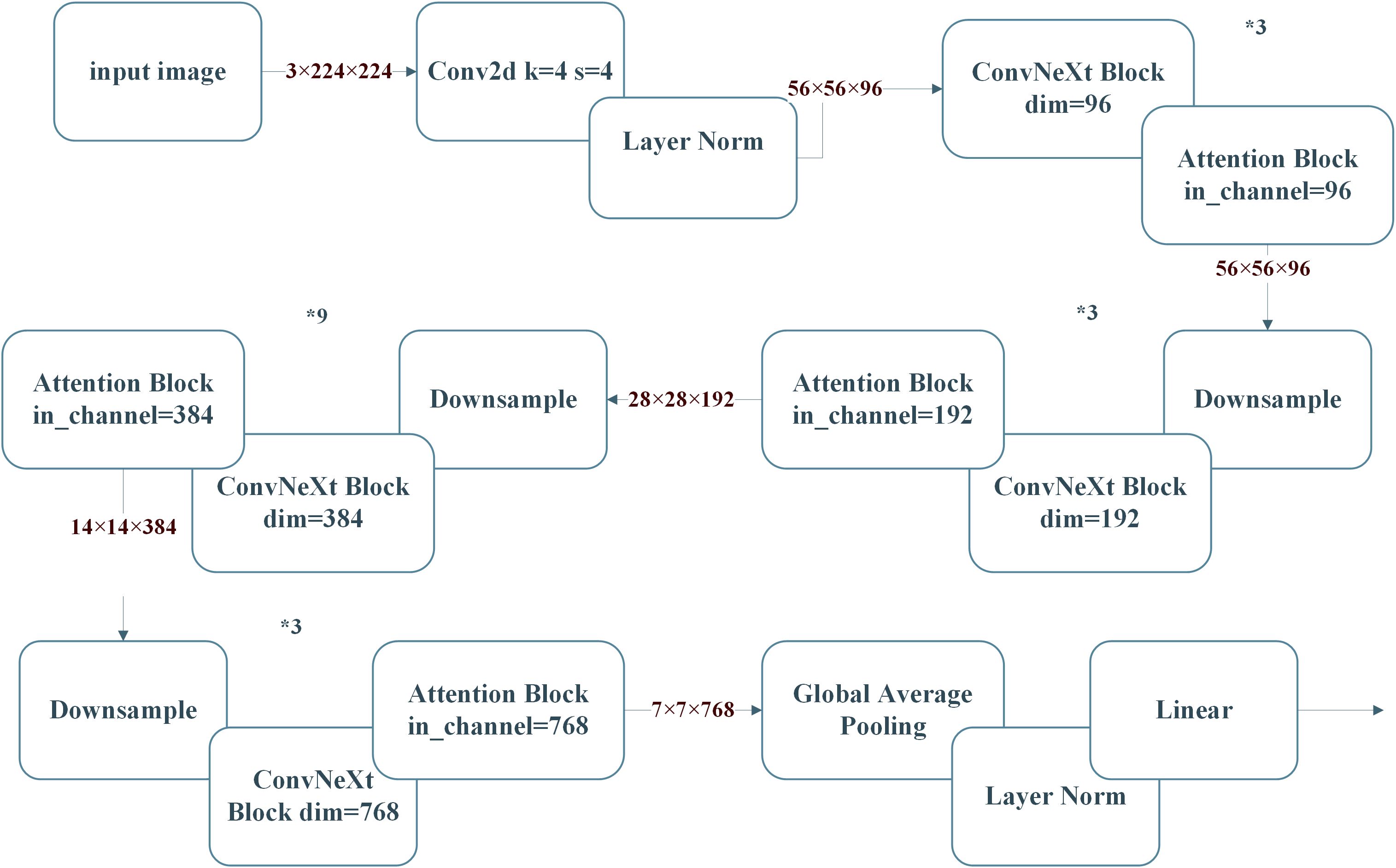 Frontiers | Apple leaf disease image recognition based on a modified rime optimization algorithm ...