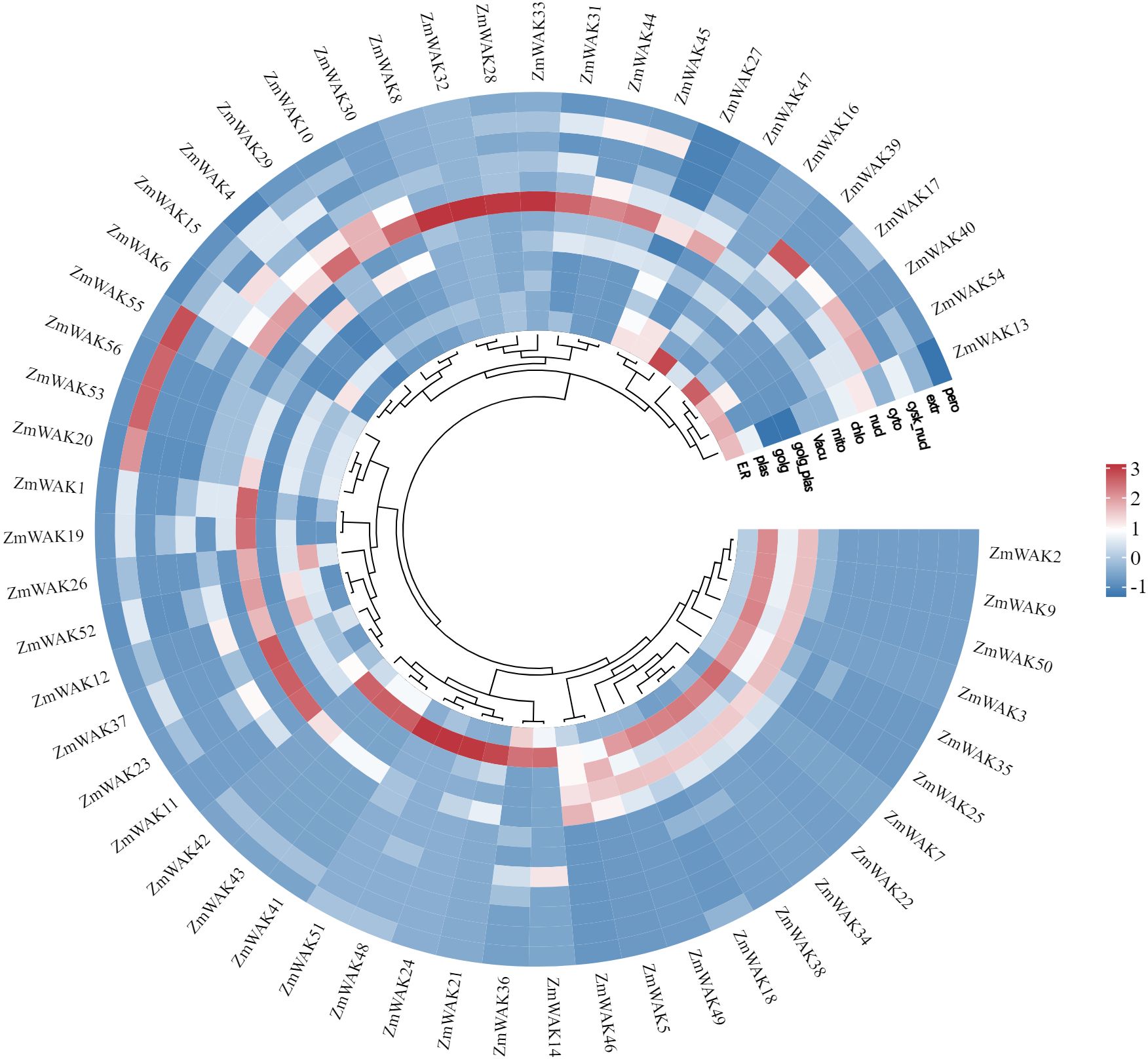 Frontiers | Roles of maize WAK gene family in responses to abiotic and ...
