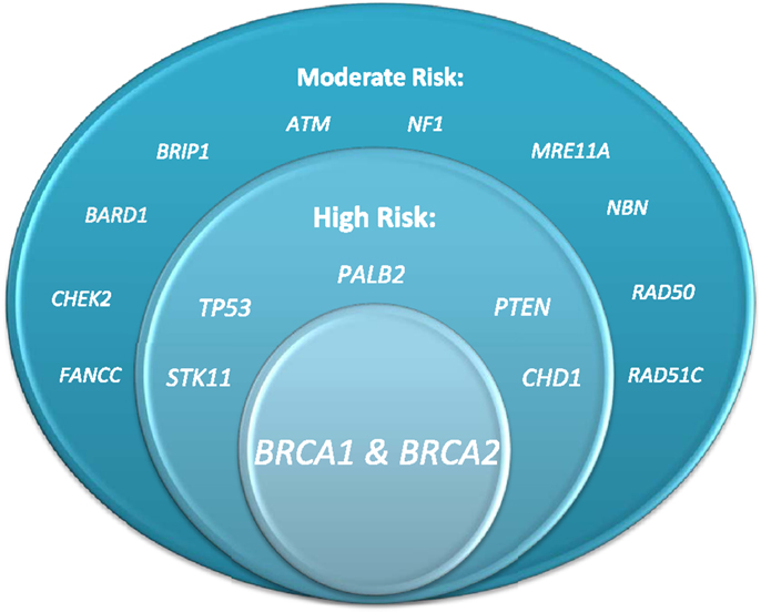 Frontiers Breast Cancer Genetic Counseling A Surgeons Perspective