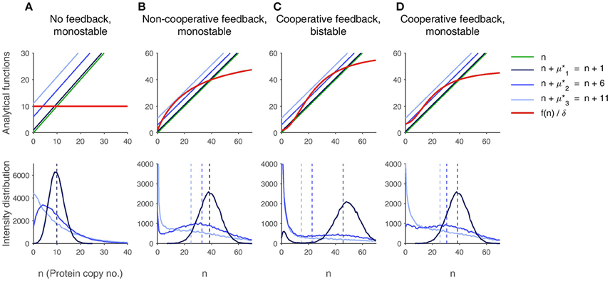 Frontiers A Comparison Of Deterministic And Stochastic Modeling