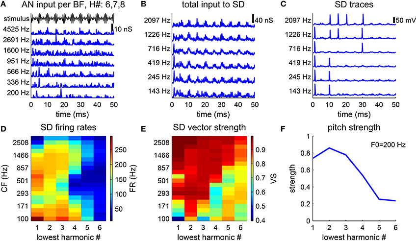 Frontiers A Neuronal Network Model For Pitch Selectivity And