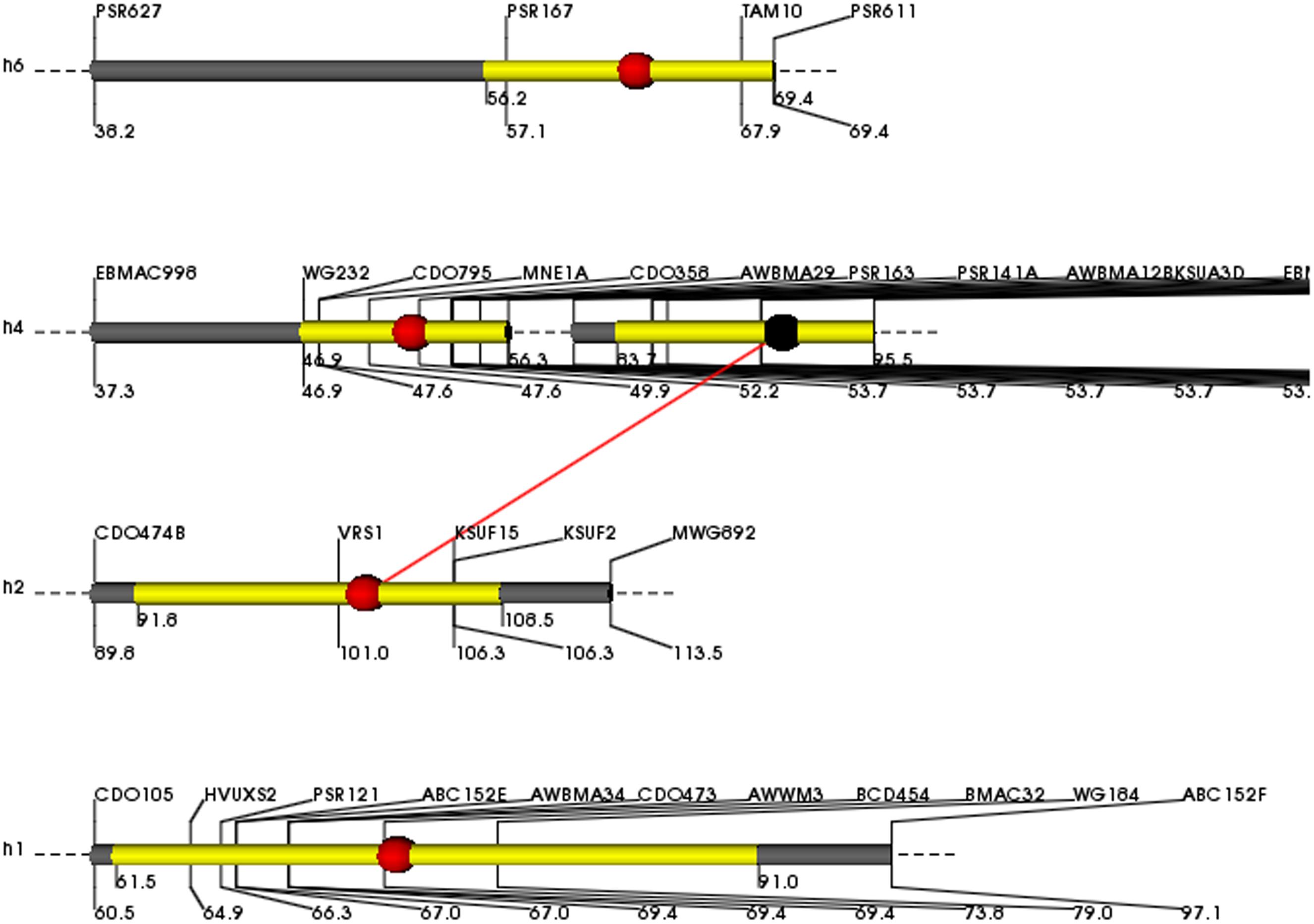 Frontiers Genetic Mapping Of Quantitative Trait Loci For Yield