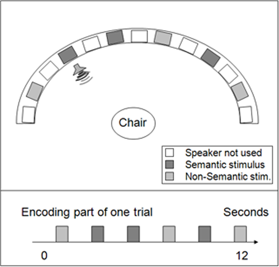 Frontiers Semantic Elaboration In Auditory And Visual Spatial Memory