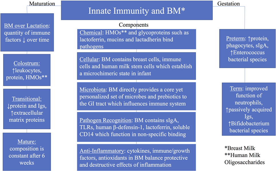 Frontiers | Innate Immunity and Breast Milk | Immunology Frontiers | Innate Immunity and Breast Milk | Immunology