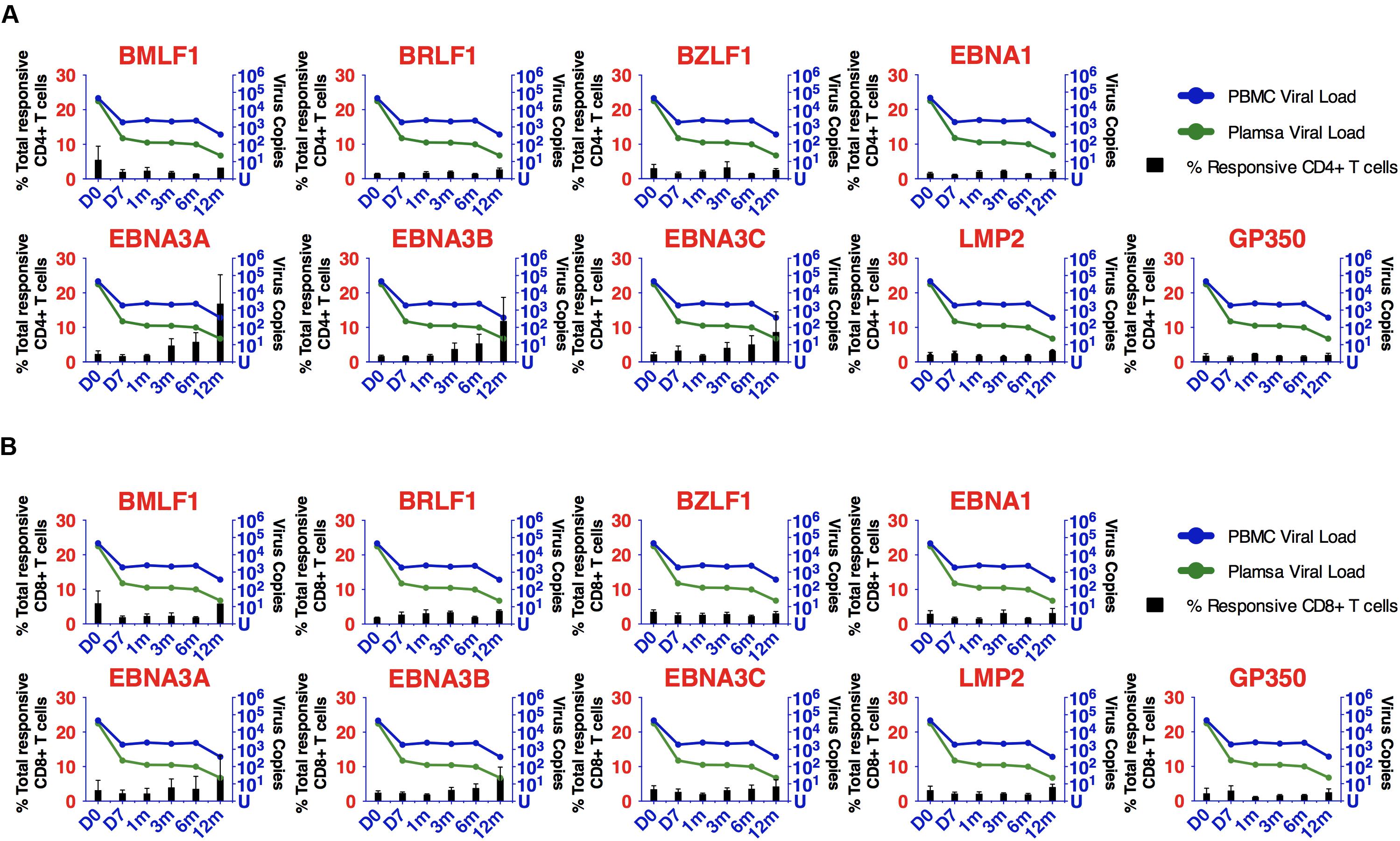 Frontiers Emergence Of Cd4 And Cd8 Polyfunctional T Cell Responses