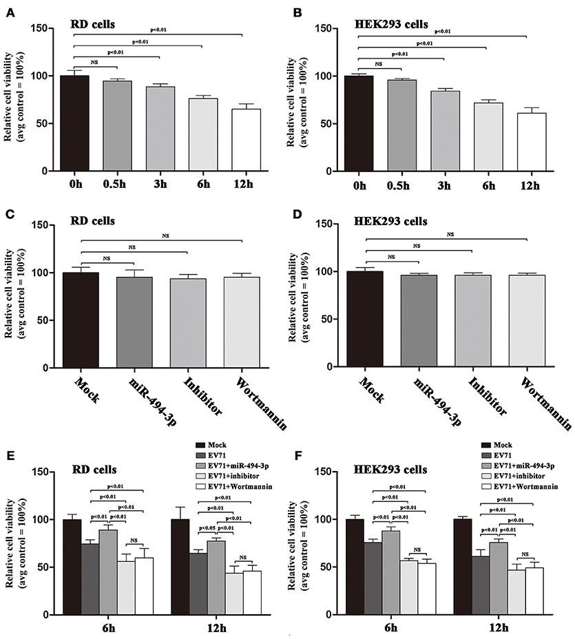 Frontiers Host Microrna Hsa Mir 494 3p Promotes Ev71 Replication By