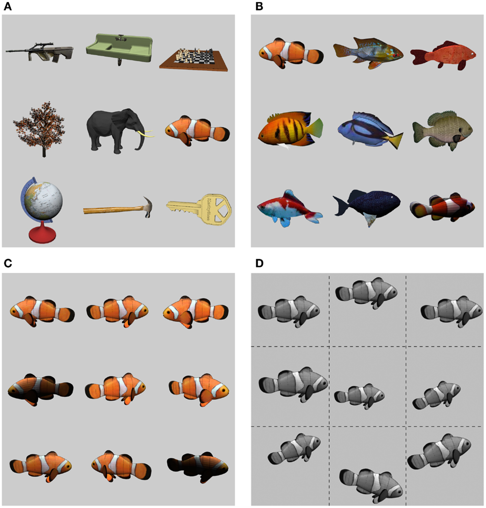 Frontiers Recurrent Processing During Object Recognition Psychology