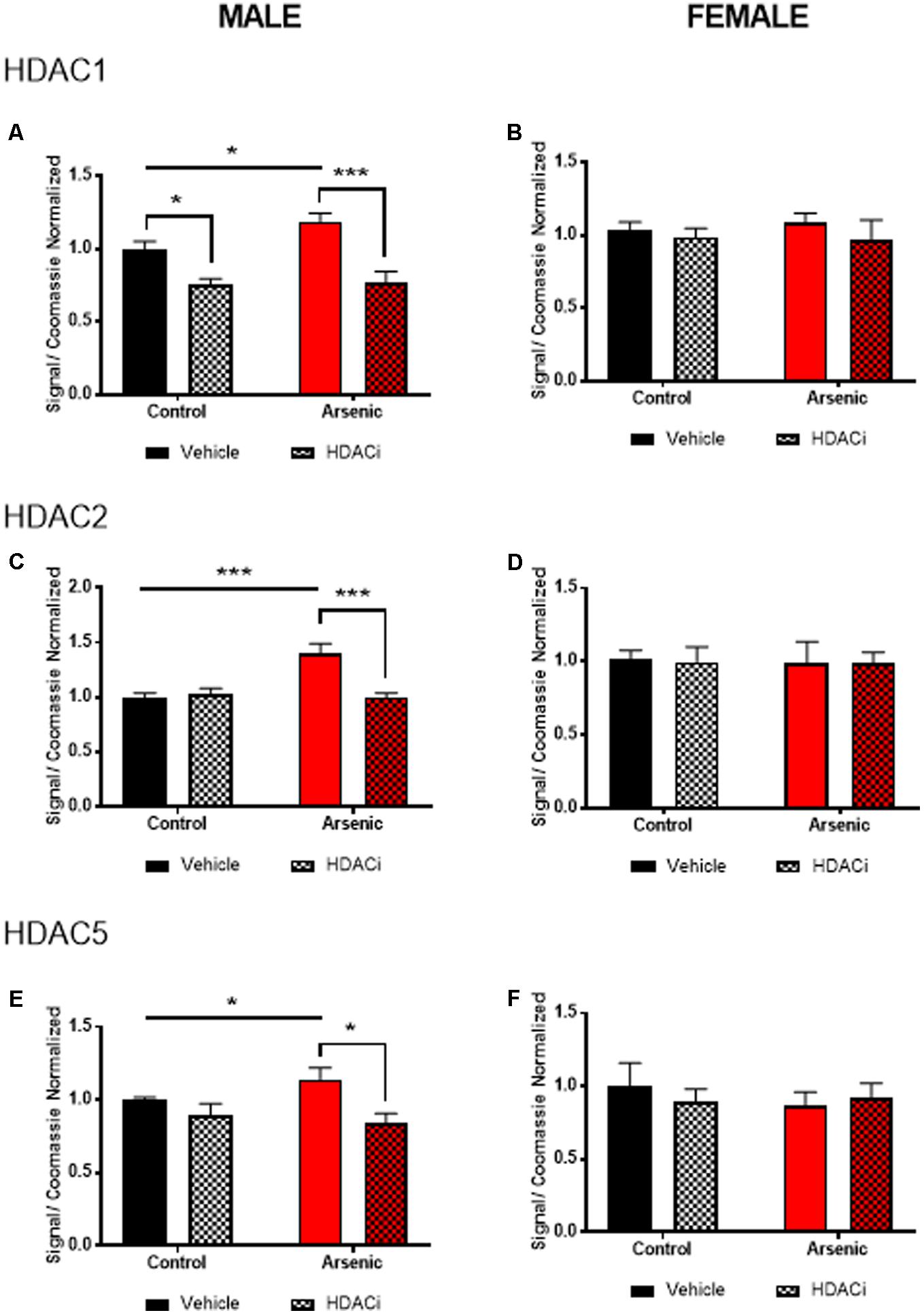 Frontiers Sex Dependent Effects Of The Histone Deacetylase Inhibitor