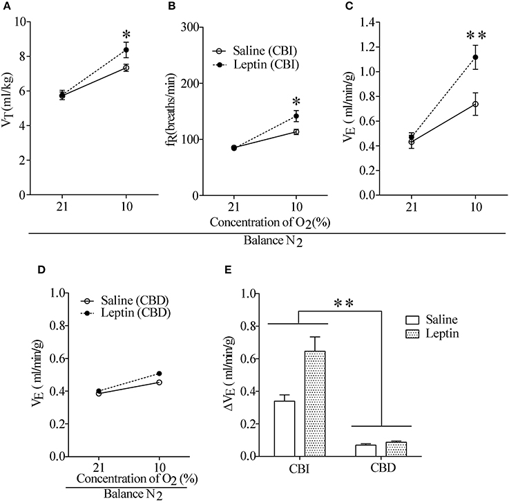 Frontiers Leptin Signaling In The Carotid Body Regulates A Hypoxic