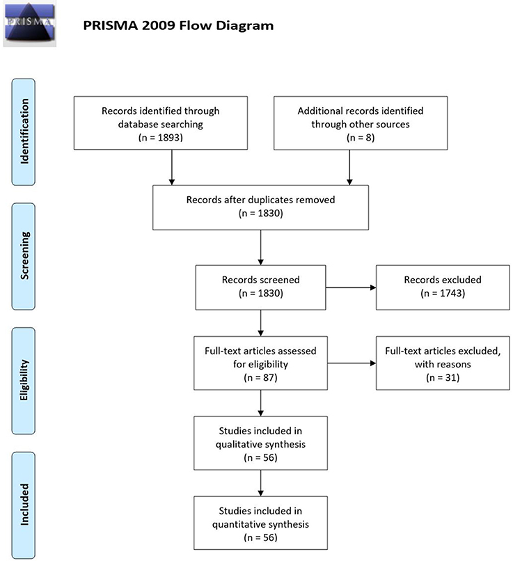 Visual Pathway Flowchart The Visual Pathway Anatomy C - vrogue.co Visual Pathway Flowchart The Visual Pathway Anatomy C - vrogue.co