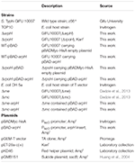 Frontiers | Identification and Characterization of a Cis Antisense RNA ...
